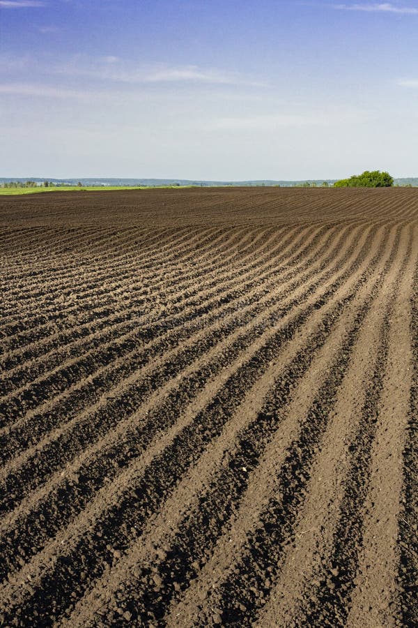 Deep Furrows in Field stock photo. Image of dirt, acreage - 26965584