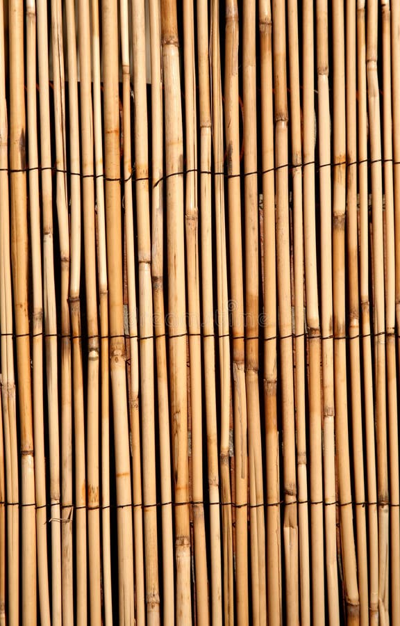 Deep Golden Bamboo Texture Bac Stock Image - Image of bamboo, chinese ...