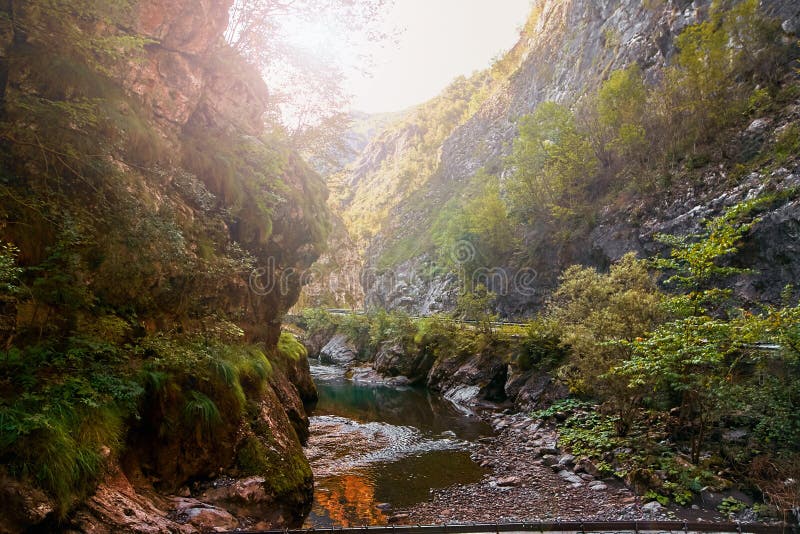 Deep Gorge in the Mountains of Italy. Stock Image - Image of landscape ...