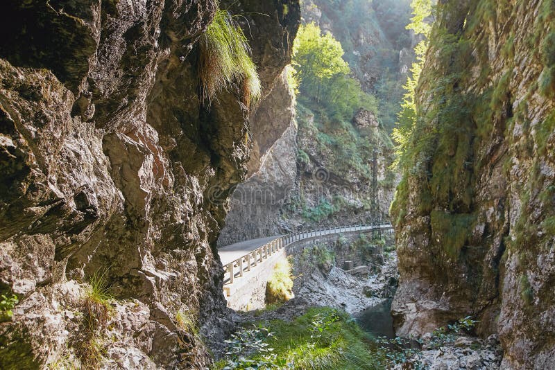 Deep Gorge in the Mountains of Italy. Stock Image - Image of holidays ...