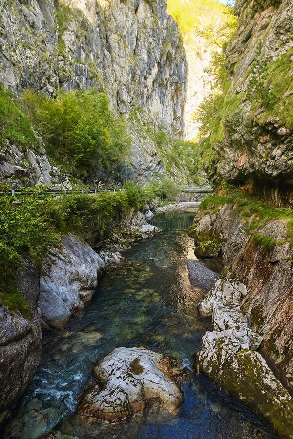 A Deep Gorge with a River in the Mountains of Italy. Stock Photo ...