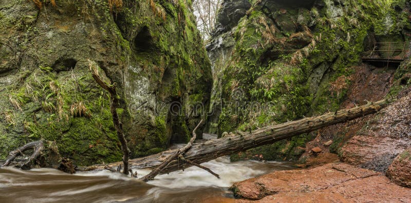 Deep Gorge with River and Fallen Tree Stock Photo - Image of beauty ...