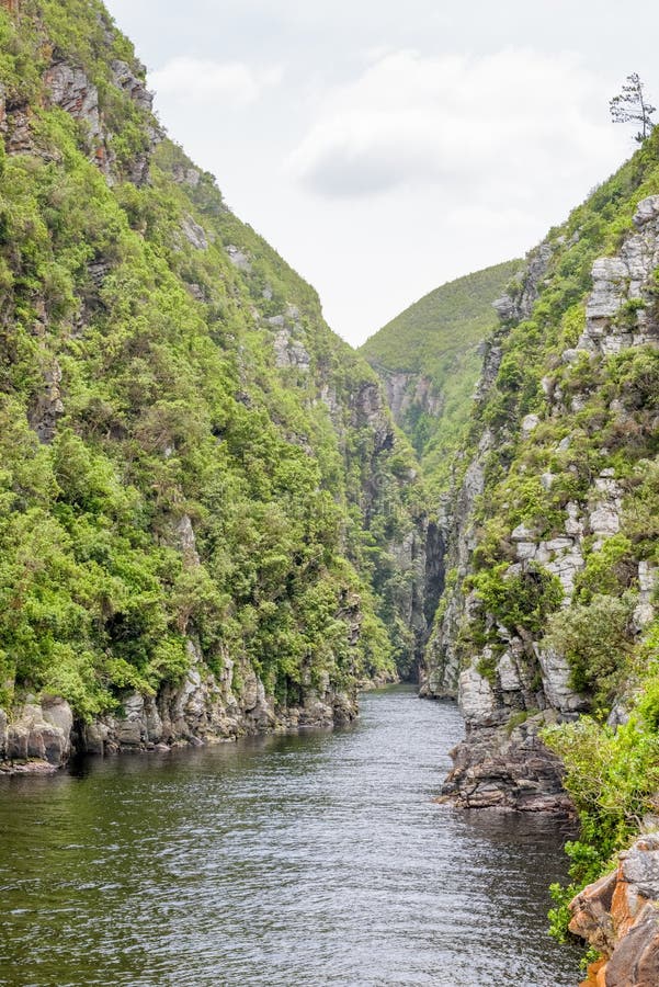 Deep gorge stock photo. Image of heron, rocks, chaletsn - 63380606
