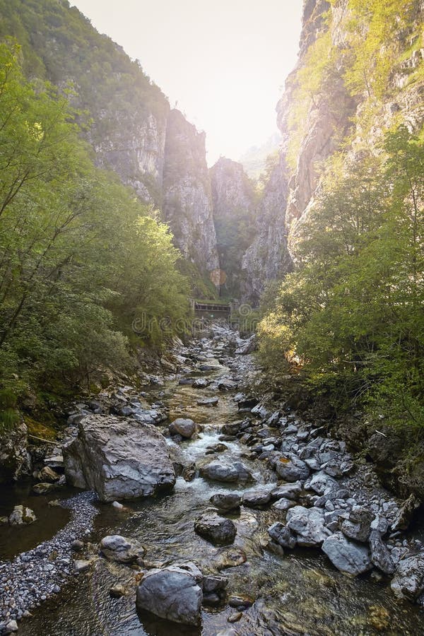A Deep Gorge with a River in the Mountains of Italy. Stock Photo ...
