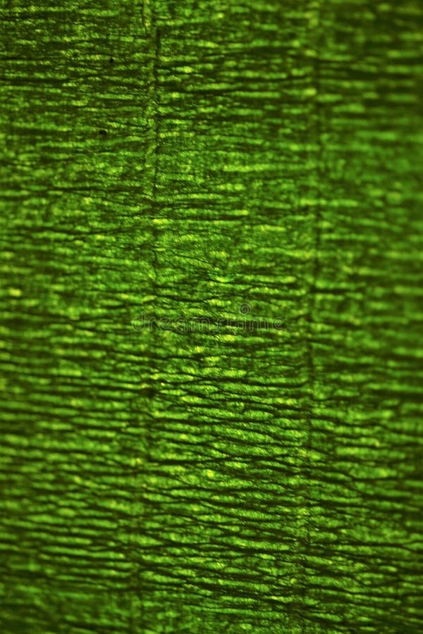 Deep Green Background Texture with Dark Waves Stock Image - Image of ...