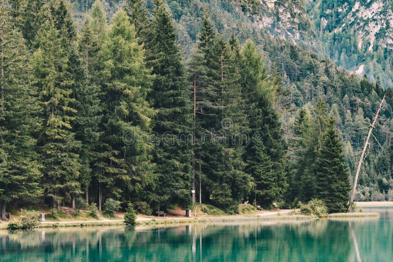 Deep Green Forest on the Lake Shore Stock Photo - Image of touristic ...