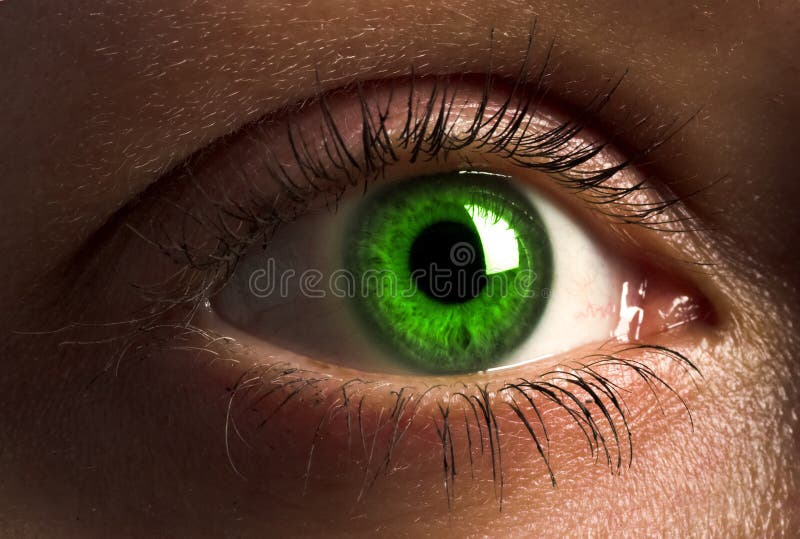 Deep green human eye. stock image. Image of females, details - 2204305