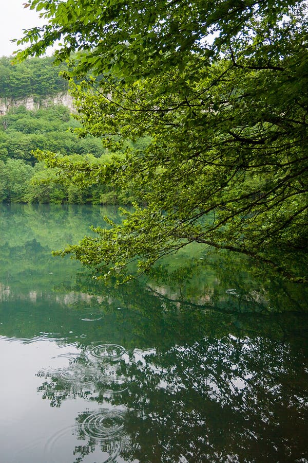 Deep green lake stock photo. Image of alpine, beautiful - 31895386