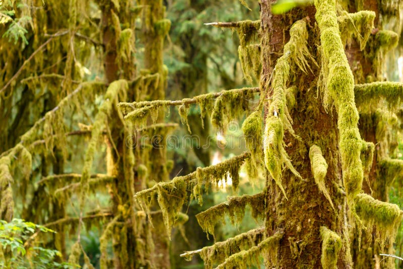Green in the layers stock photo. Image of formation, beach - 4860468