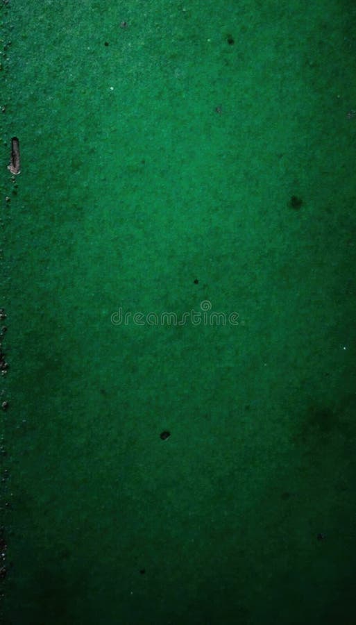 Deep Green, Slightly Uneven Texture; Some Wear Visible, Soil, Plant ...