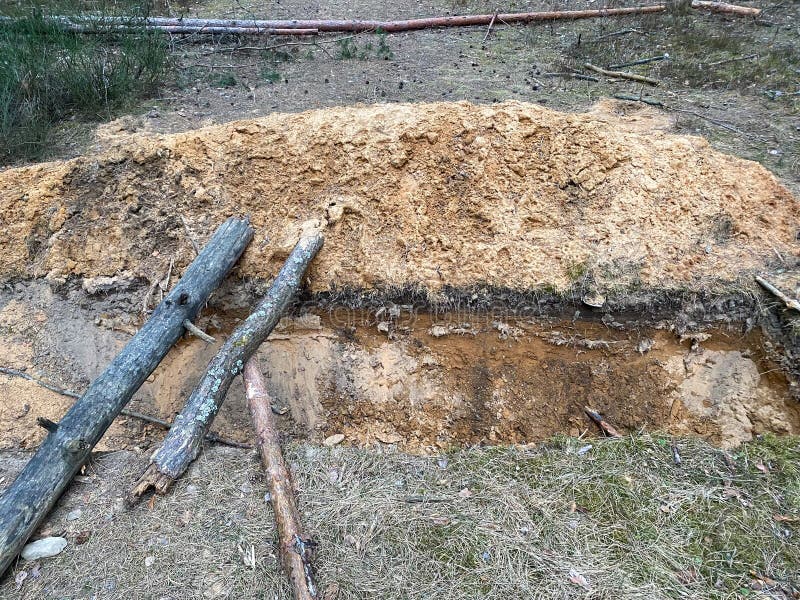 A Deep Hole in the Ground is Dug in the Forest among the Trees and ...