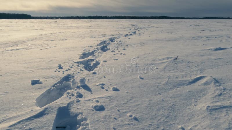 Human Footprints in the Snow. Aerial View. a Snowy Field and Deep ...