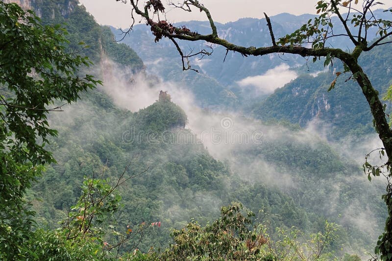 Deep mountain stock image. Image of river, leaf, woodland - 270943501