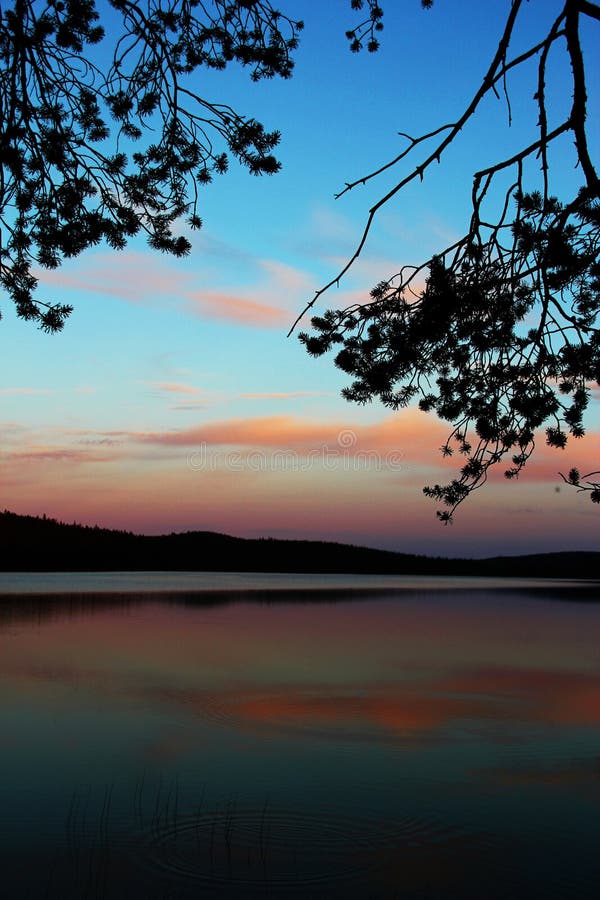 Deep in nature 2 stock image. Image of europe, tree, nature - 93727363