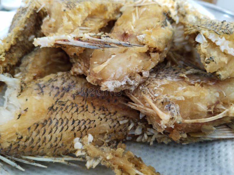 Deep Oil Fried Fish Home Favorite Food Stock Photo - Image of food ...