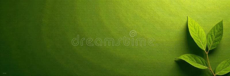 Deep Olive Canvas, Tightly Woven, Subtly Textured , Shadow, Rough Stock ...