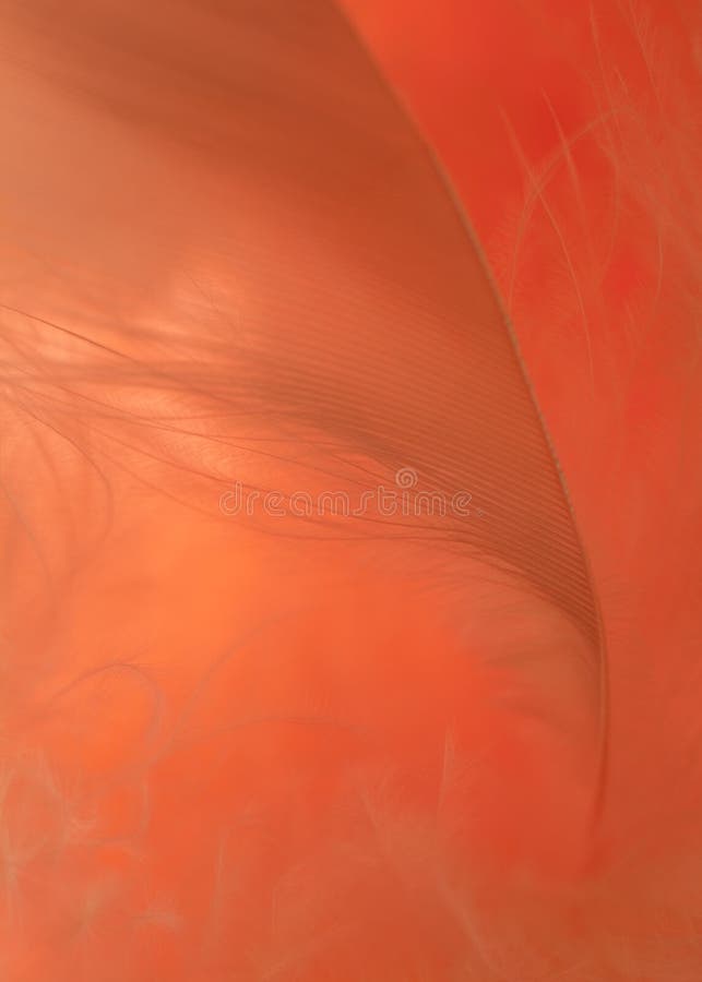 Deep orange abstract stock image. Image of deep, orange - 48708805