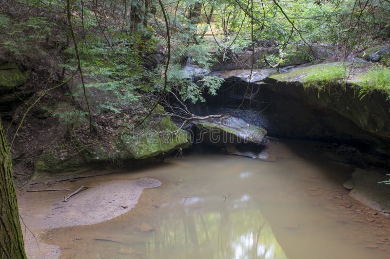 Deep Pool in a Forest Stream Stock Image - Image of passes, quiet ...