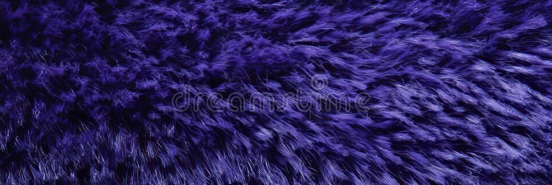 Deep Purple Carpet Texture Showcasing a Rich Blend of Cut and Loop Pile ...