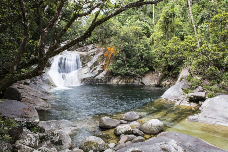 Deep Rainforest Pool stock photo. Image of tropical, creek - 35596444