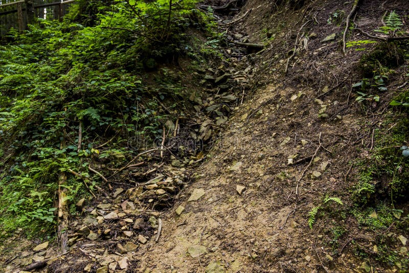 Deep ravine in the forest stock image. Image of combe - 251545875