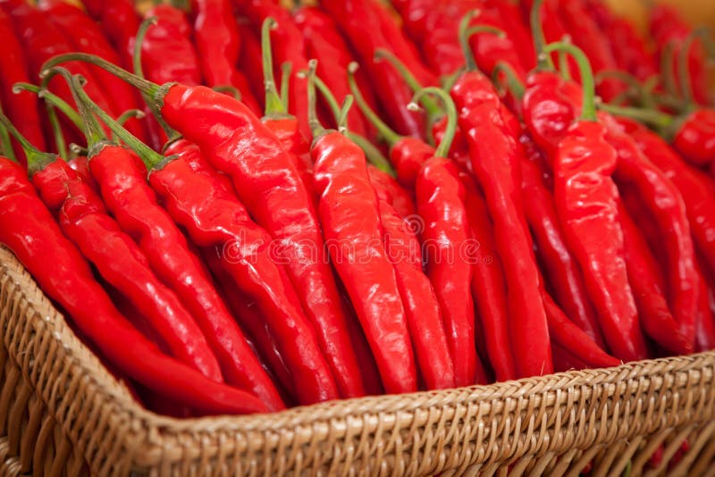 Deep Red Hot Chili in Displa Stock Photo - Image of cooking, grey: 33031942