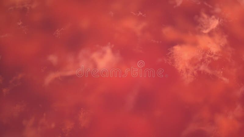 Deep Red Liquid Abstract Background Loop Photo Stock Photo - Image of ...
