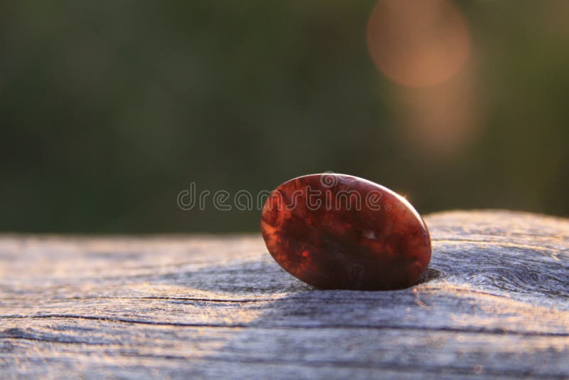 Deep Red Moss Agate on Wood Shining in the Sunlight Stock Image - Image ...