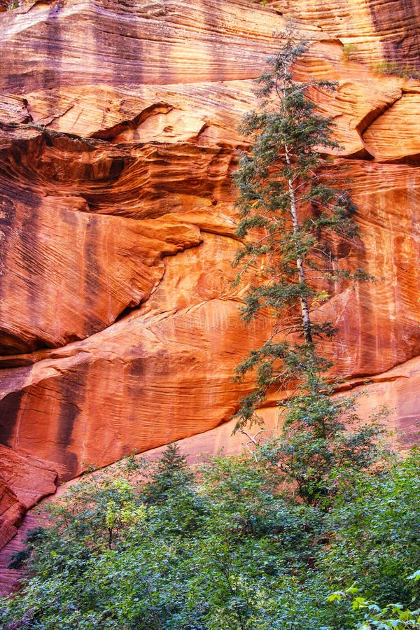 Deep red and orange cliffs stock photo. Image of taylor - 290566026