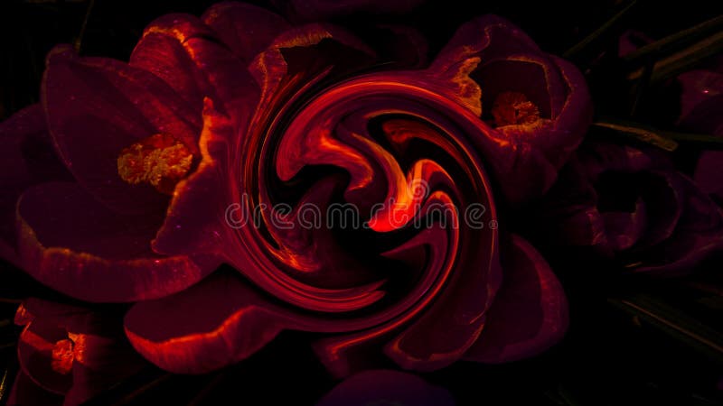 Deep Red Rose Petals Abstract Art Background Stock Illustration ...