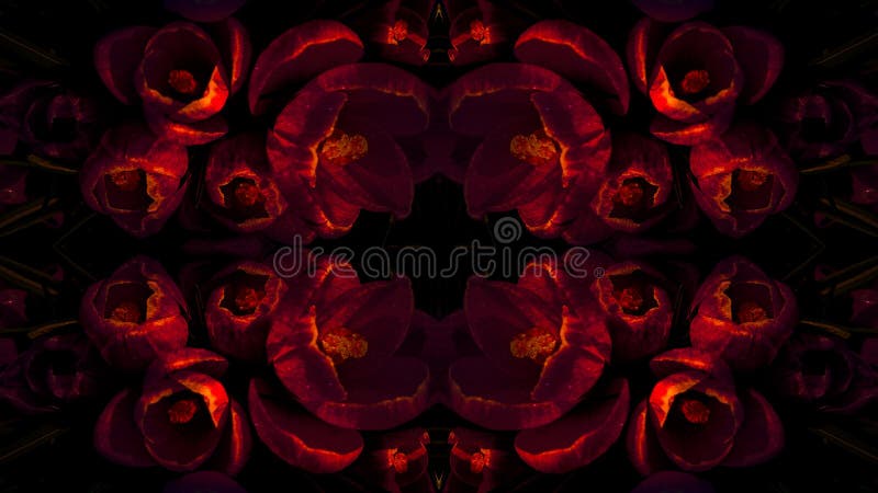 Deep Red Rose Petals Abstract Art Background Stock Illustration ...