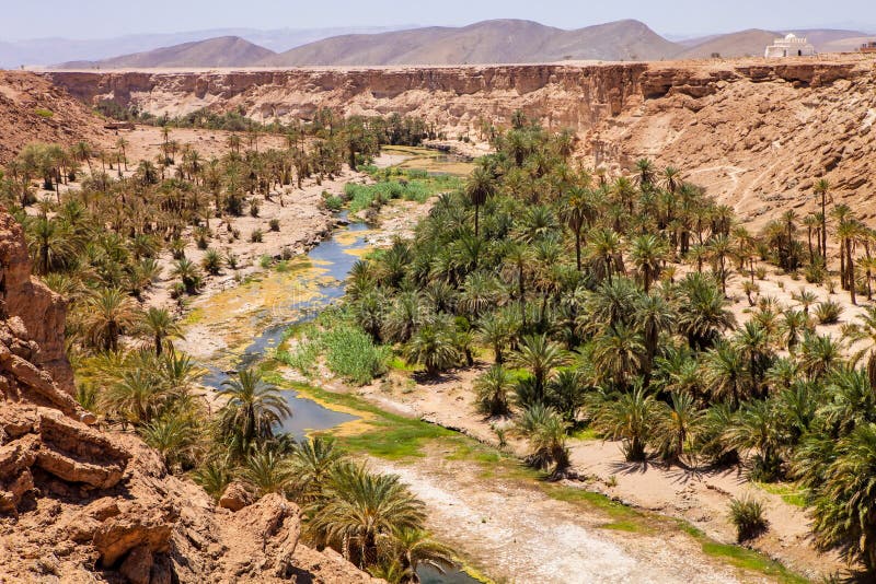 Deep River Canyon with Palm Trees, Morocco Stock Image - Image of river ...