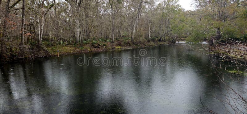 A Deep River Flowing by Trees during a Light Rain Stock Image - Image ...