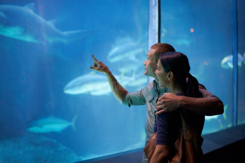 Deep Sea Dating. a Young Couple Looking at the Fish in an Aquarium ...