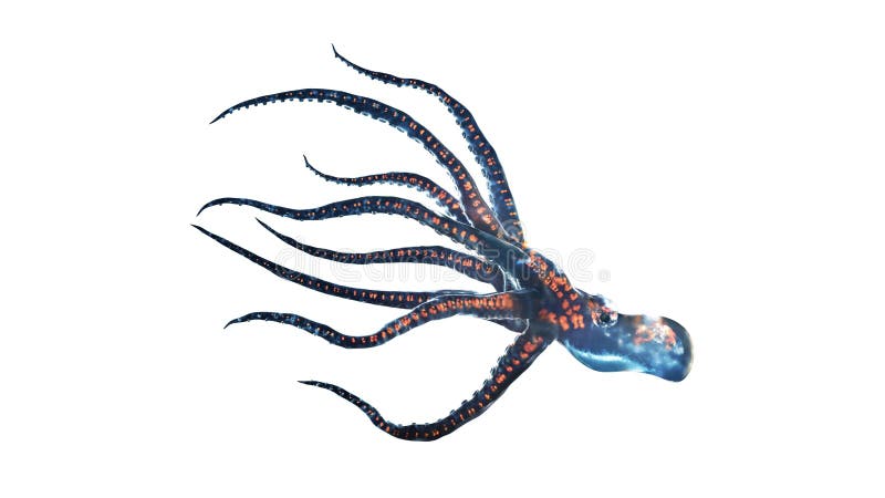 Deep sea octopus isolated stock illustration. Illustration of octopus ...