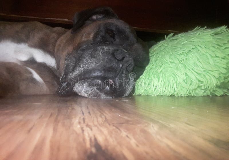 Deep sleep stock photo. Image of deep, sleep, pillow - 123482606