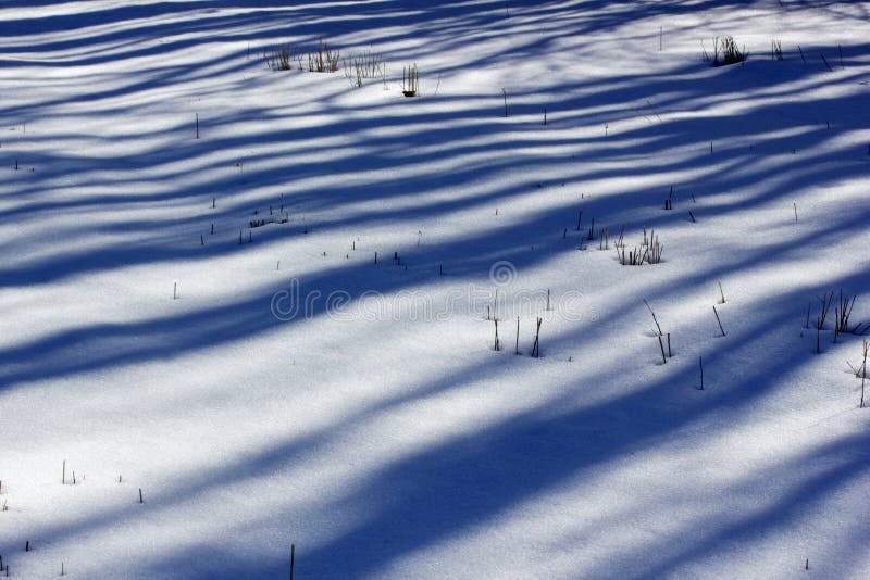 Snow Heap on Ground in Winter. Stock Photo - Image of snow, light ...