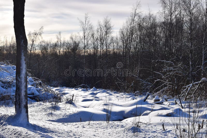 Deep Snow Location in the Winter Area Stock Photo - Image of snowscapes ...