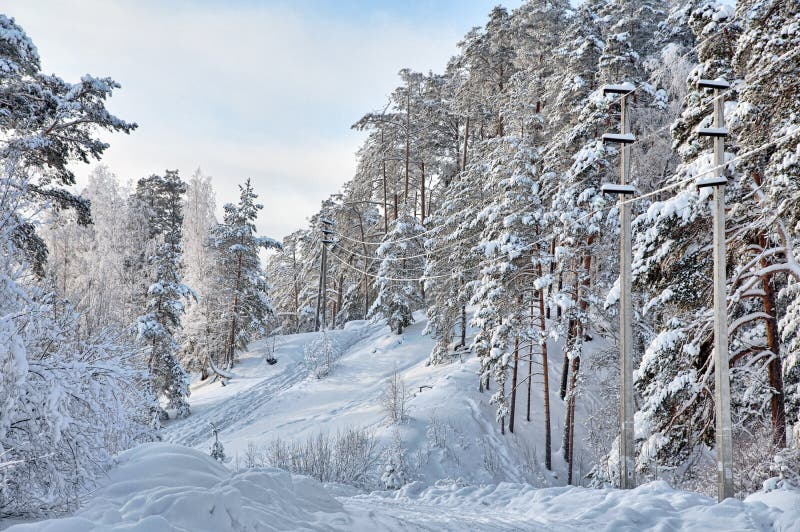 Deep snow in winter forest stock image. Image of snow - 140978373