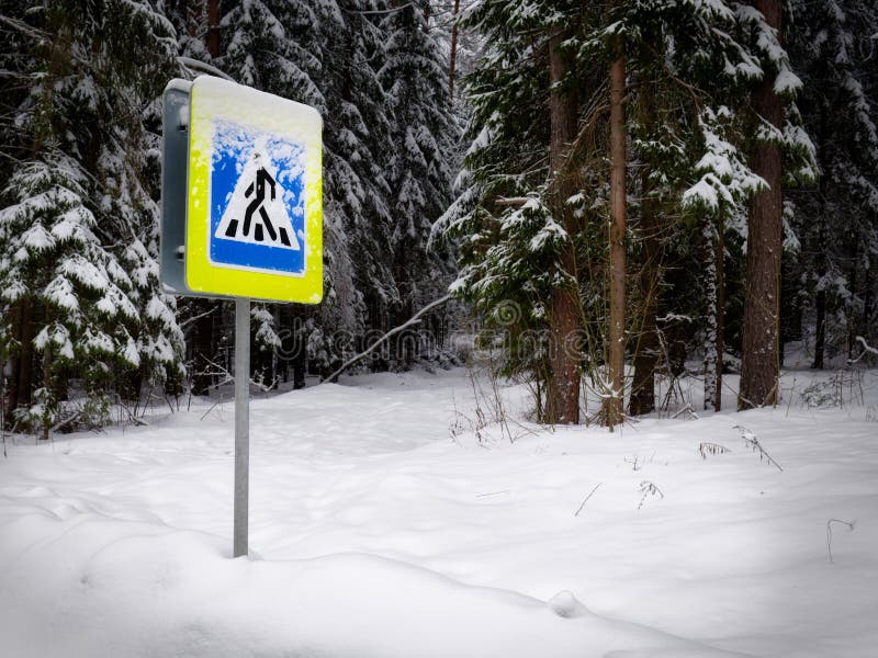 Deep Snow Winter Sign Crosswalk on Winter Road Stock Photo - Image of ...
