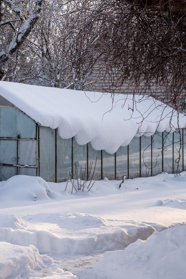 Deep Snow in the Yard and a Snow-covered Greenhouse Stock Image - Image ...
