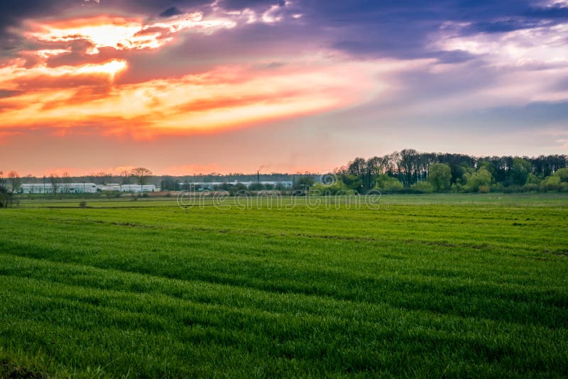 Deep Sunset stock photo. Image of nice, spring, warm - 89368140