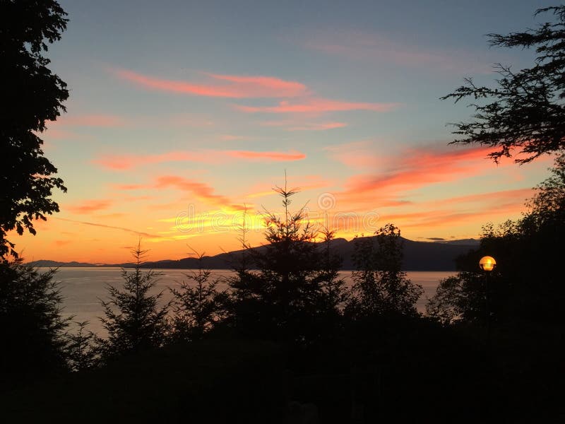 Deep sunset through trees stock image. Image of trees - 132793959