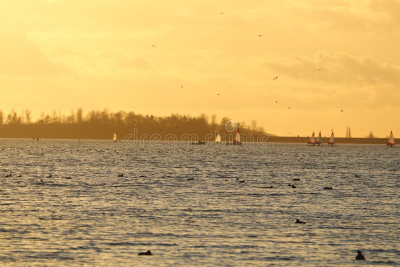 Deep Sunshine Setting Over Large Lake Stock Image - Image of sunshine ...