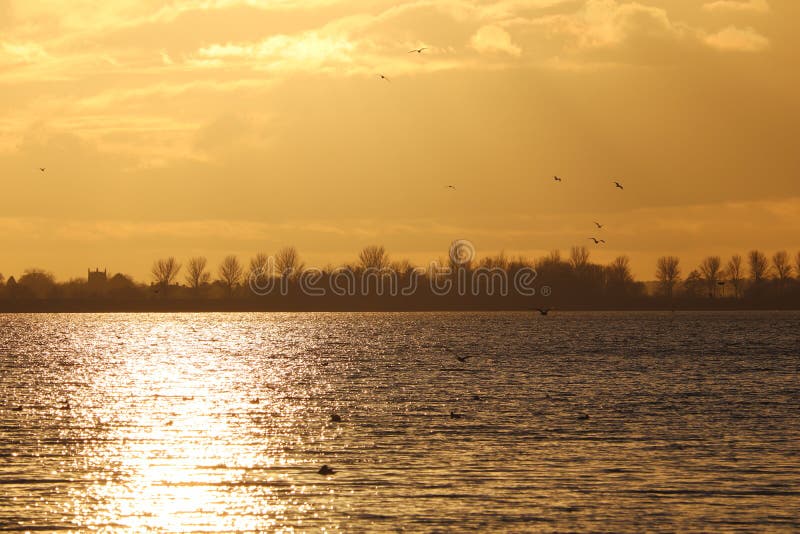 Deep Sunshine Setting Over Large Lake Stock Photo - Image of large ...