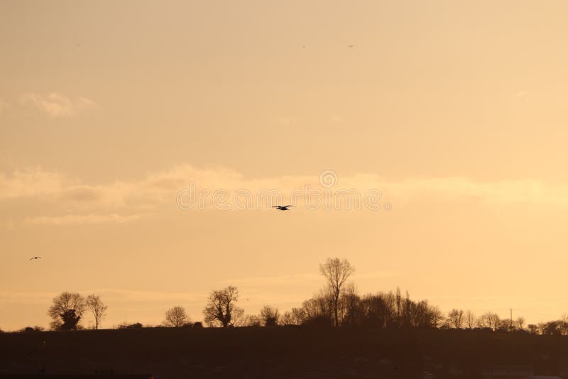 Deep Sunshine Setting Over Large Lake Stock Image - Image of large ...