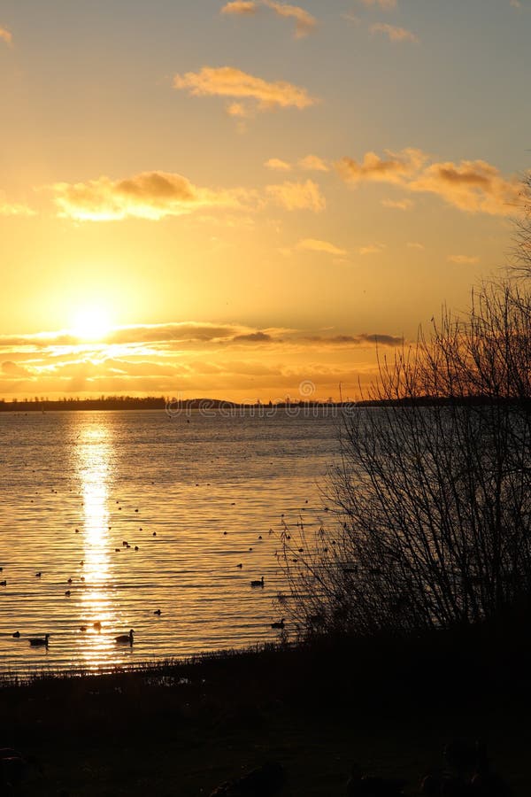 Deep Sunshine Setting Over Large Lake Stock Image - Image of sunshine ...