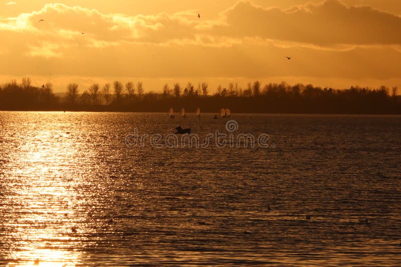 Deep Sunshine Setting Over Large Lake Stock Photo - Image of sunshine ...