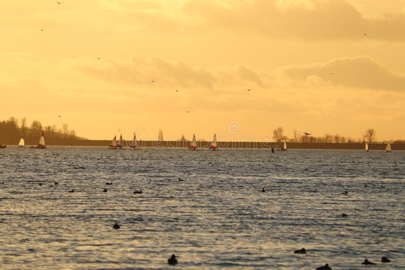Deep Sunshine Setting Over Large Lake Stock Photo - Image of lake ...