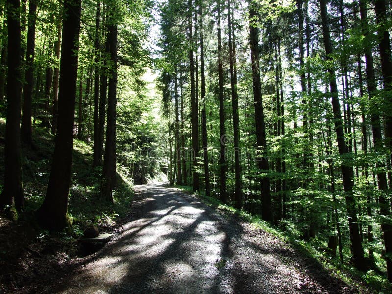 Sunshine and Shadows Corridor Angkor Wat Cambodia Stock Photo - Image ...